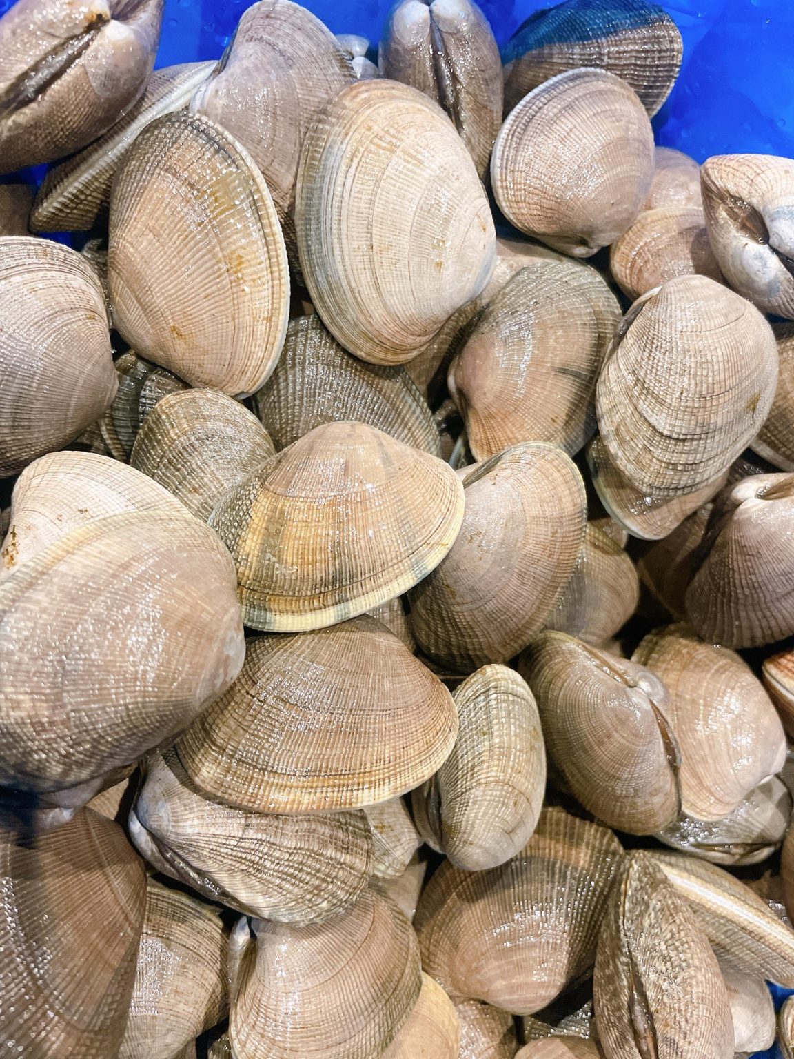 [Lebenkele le ka sehloohong] E fumaneha ka lekhetlo la pele ka mor'a ...